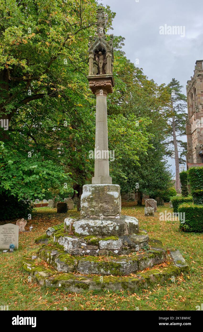 Graveyardtree hi-res stock photography and images - Alamy