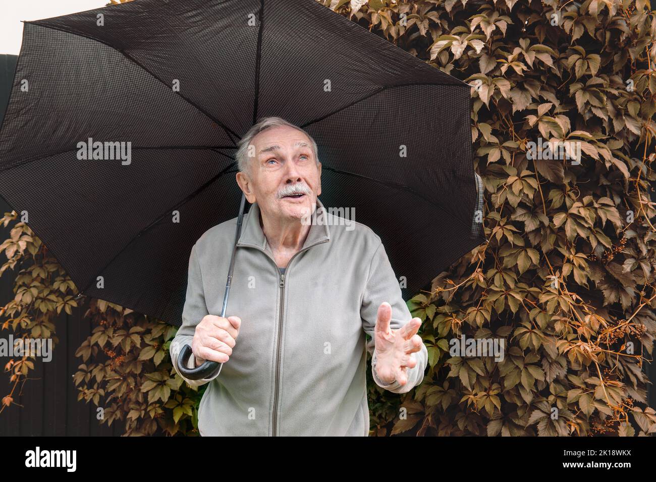 An old 88-year-old man with an umbrella on the background of autumn ...
