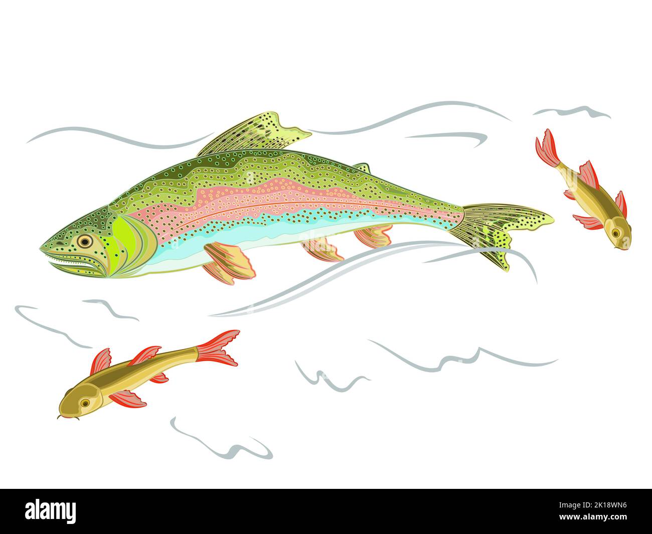 American rainbow trout predator catch a fish in the wild stream eps 8 ...