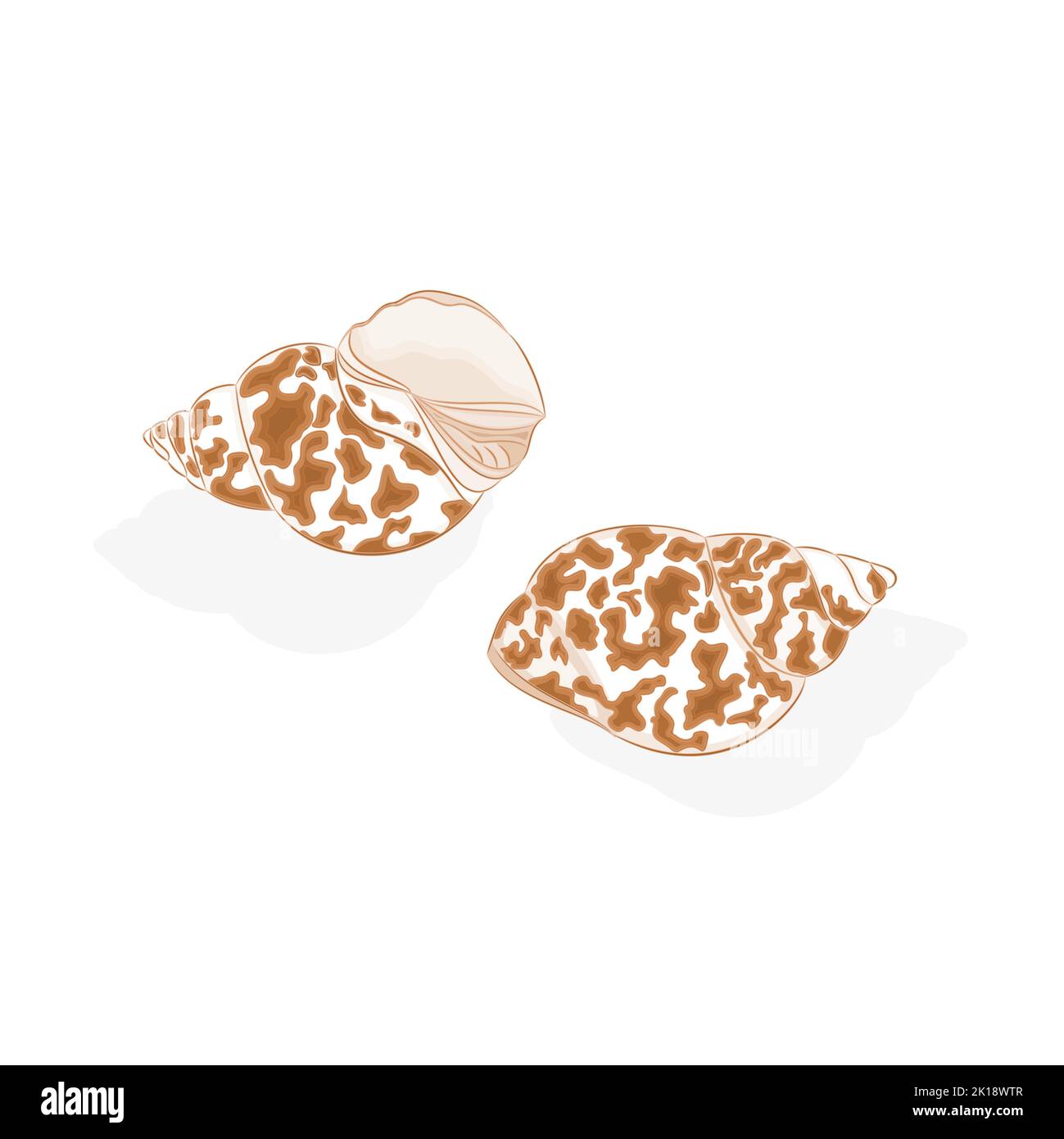 Oyster outline vector icon Stock Vector Images - Alamy