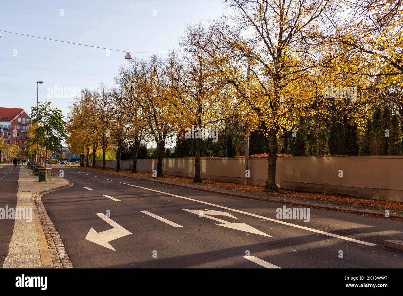 City street in Malmö Sweden bordered with autumn colored leaves in ...