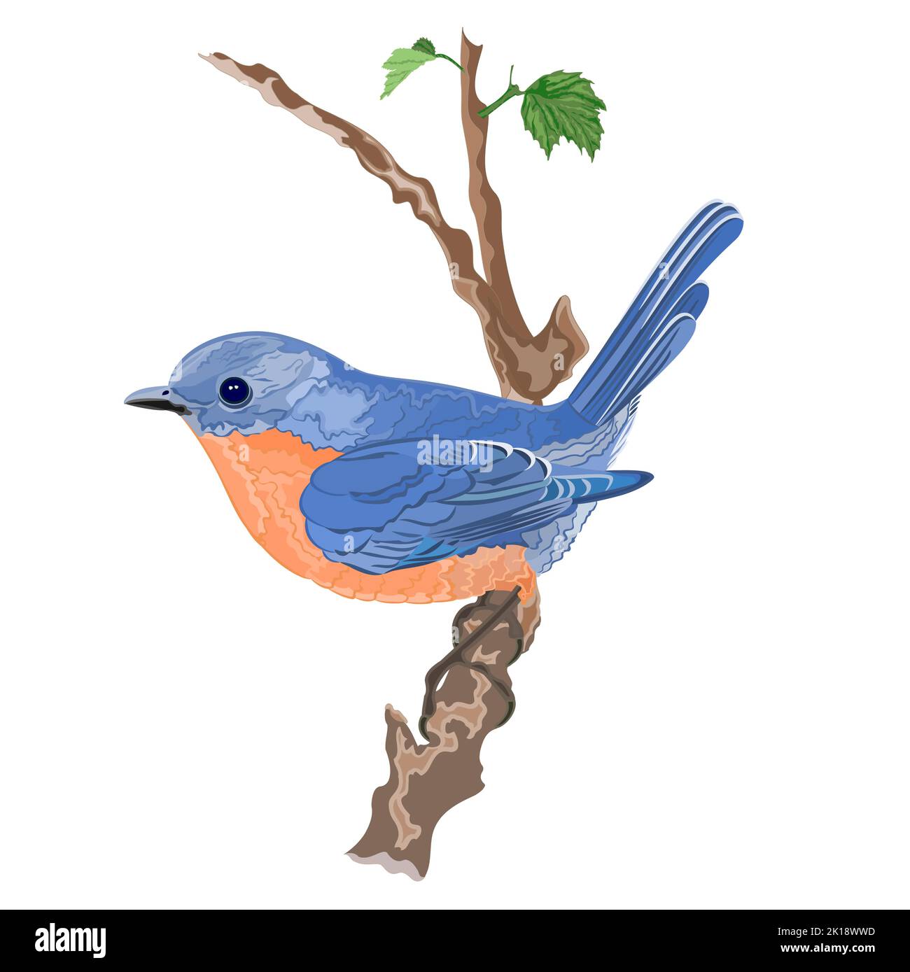 Little bird cute elegant blue orange on a twig shrubs vector ...