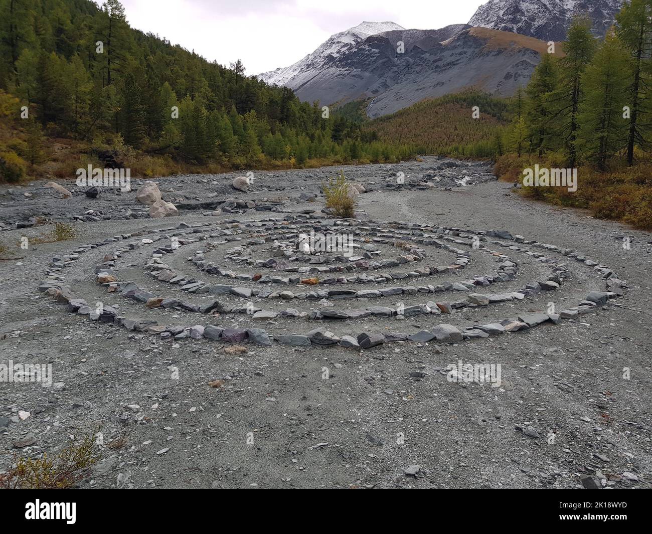 Many small rocks in circles on a ground in the middle of the fir forest ...