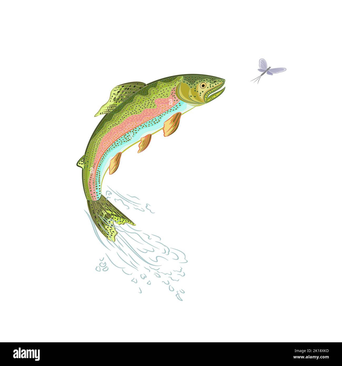 American trout jumps vector ilustration without gradients Stock Vector ...