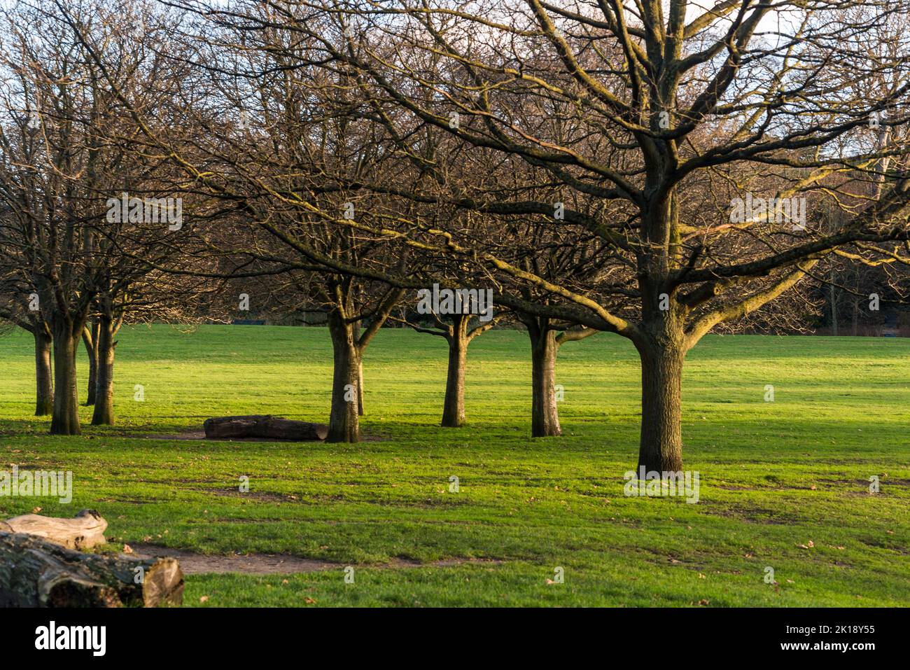 Greenwich Park, one of the Royal Parks in London, England, UK Stock ...