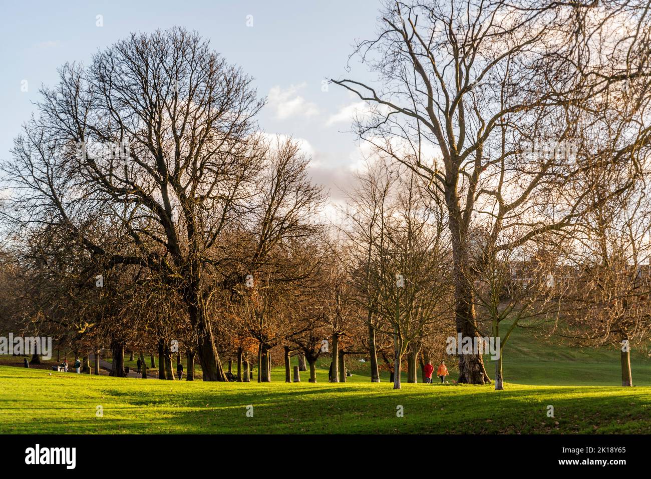 Royal parks in london hi-res stock photography and images - Alamy