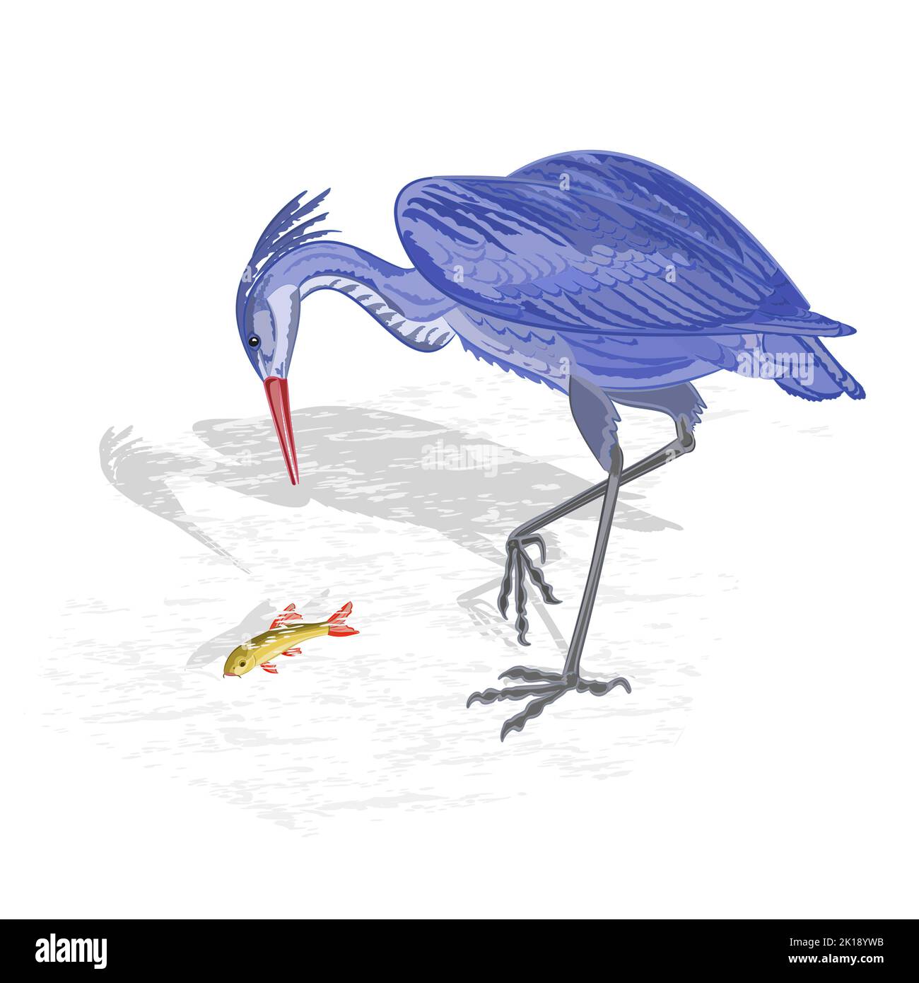 Heron hunting fish vector Illustration Stock Vector Image & Art - Alamy