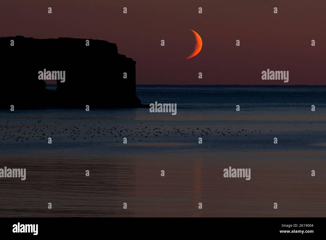 Crescent moon setting over Atlantic, Skaill Bay, Orkney Stock Photo - Alamy