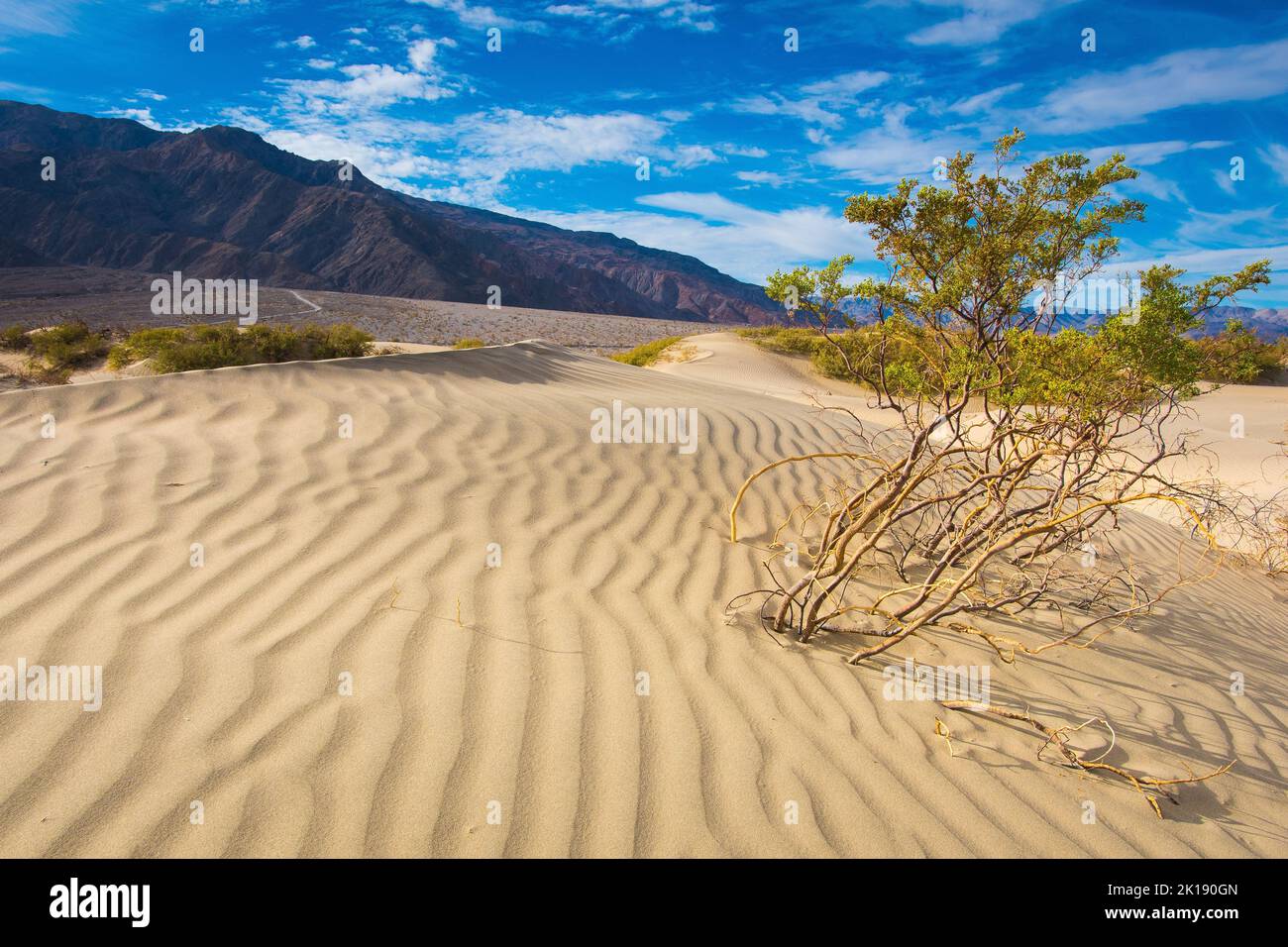 An aerial view of sand dunes Stock Photo - Alamy