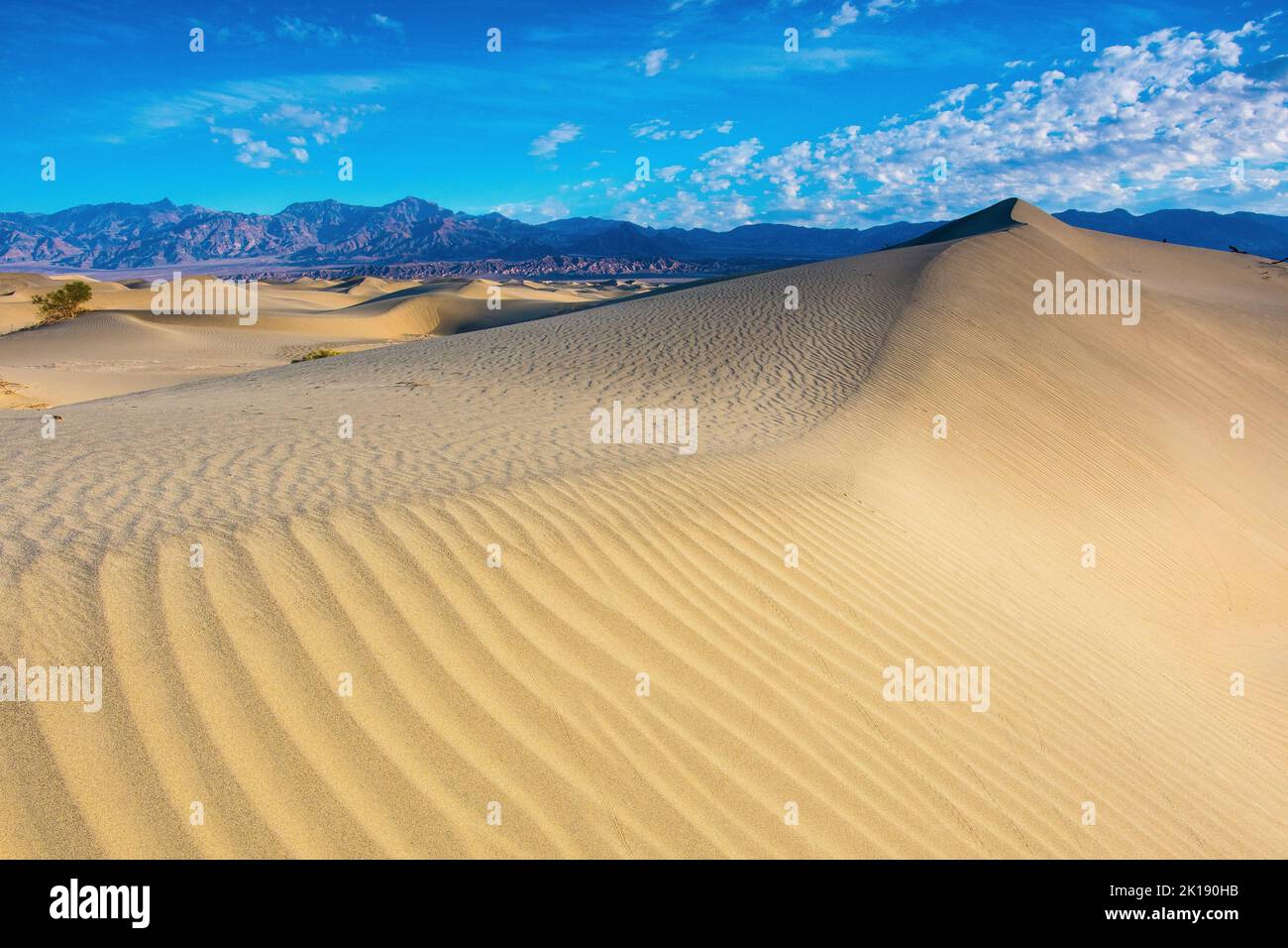 An aerial view of sand dunes Stock Photo - Alamy