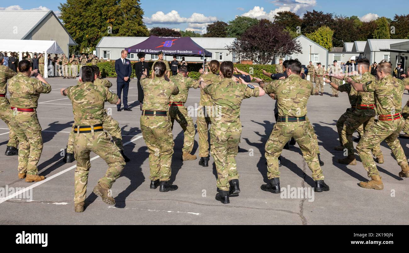 The Prince and Princess of Wales watch New Zealand troops performing ...