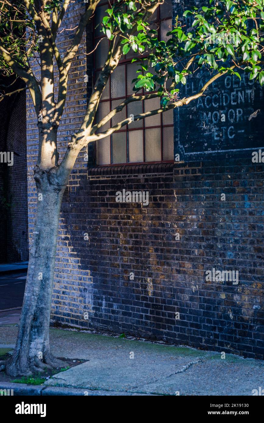 Tree and Old industrial building, Southwark, London, England, UK Stock ...