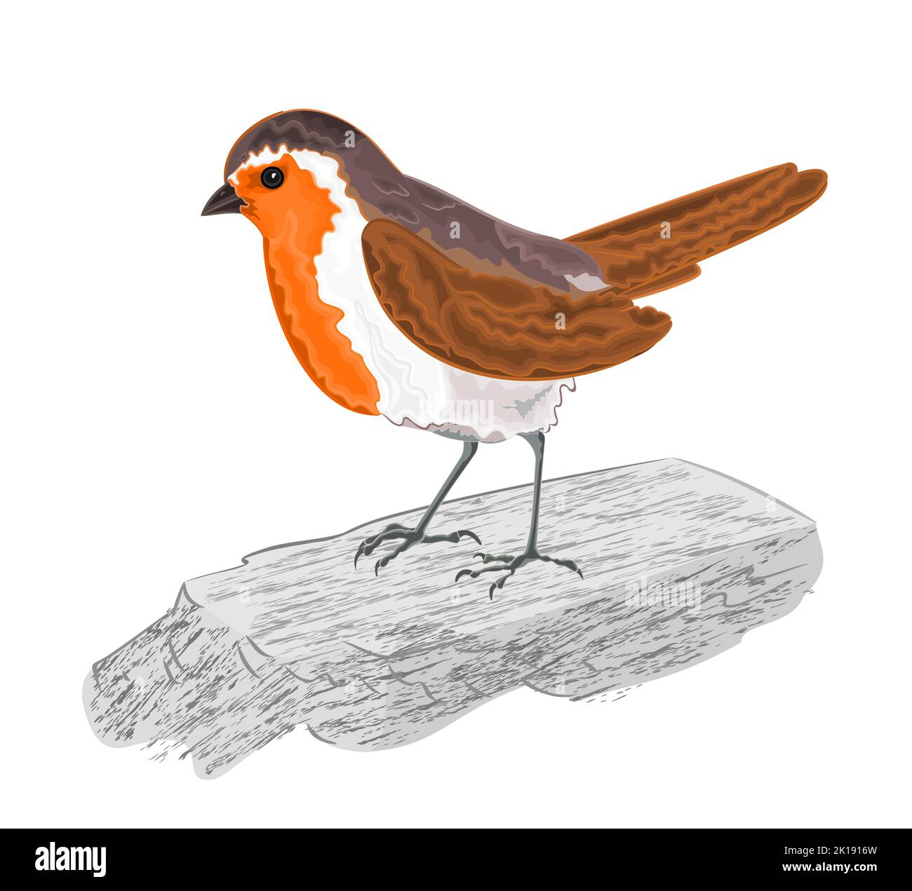 Robin bird on the stone vector illustration Stock Vector Image & Art ...
