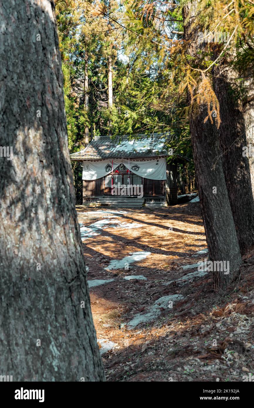 Nozawa monkey park hi-res stock photography and images - Alamy