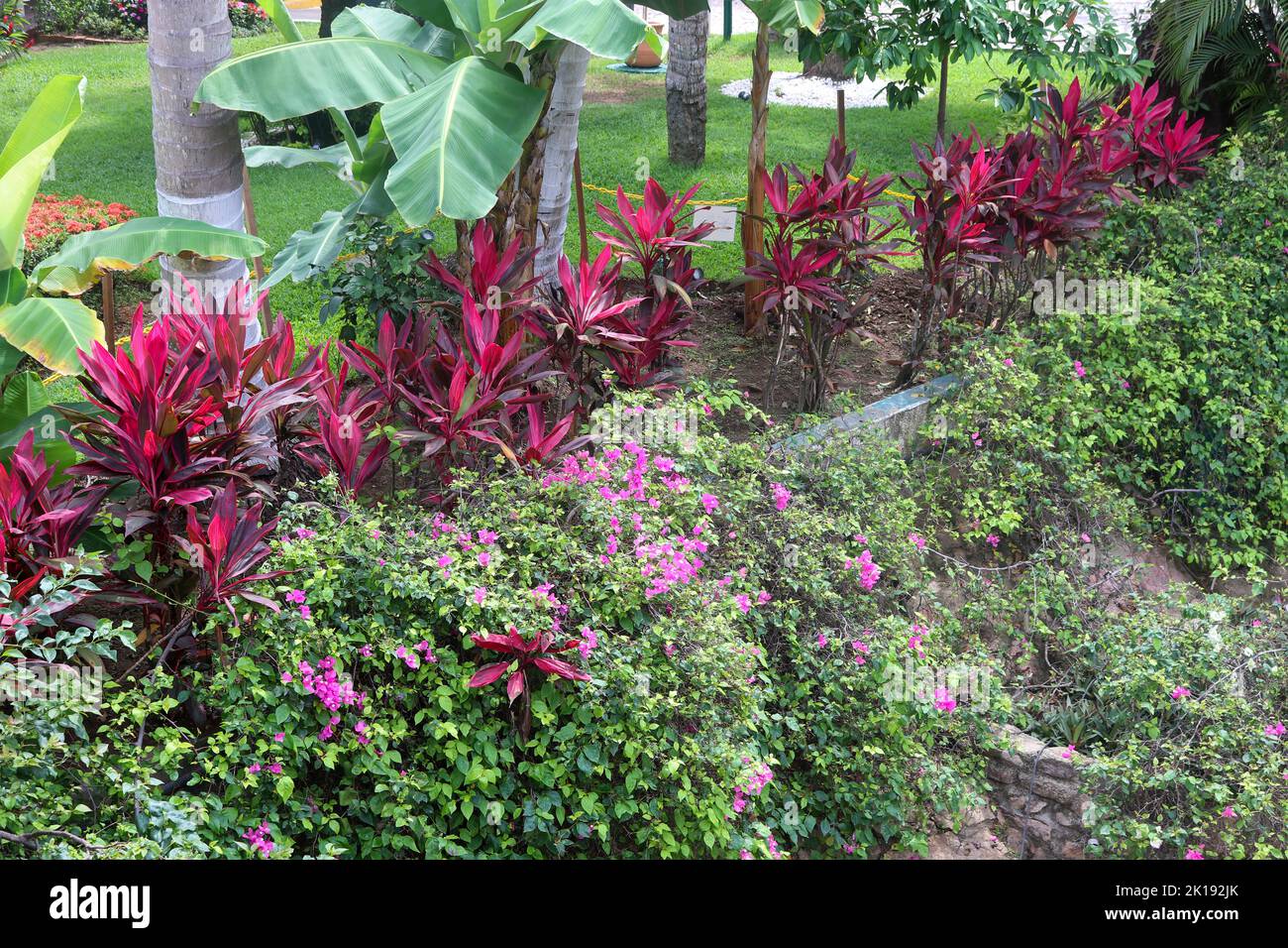 Tropical garden in resort hi-res stock photography and images - Alamy