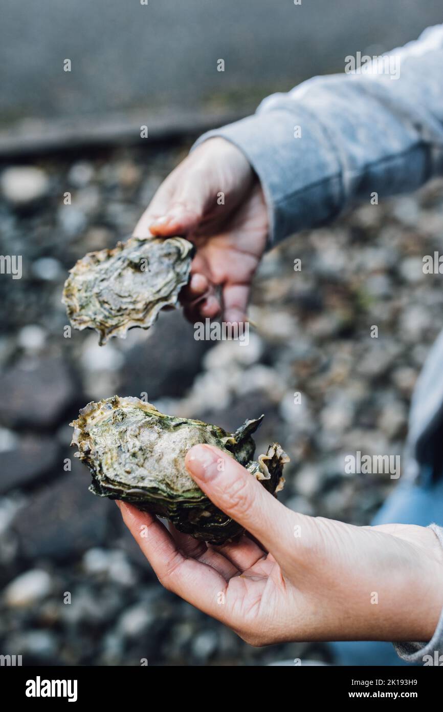 Two shells holding hands hi-res stock photography and images - Alamy