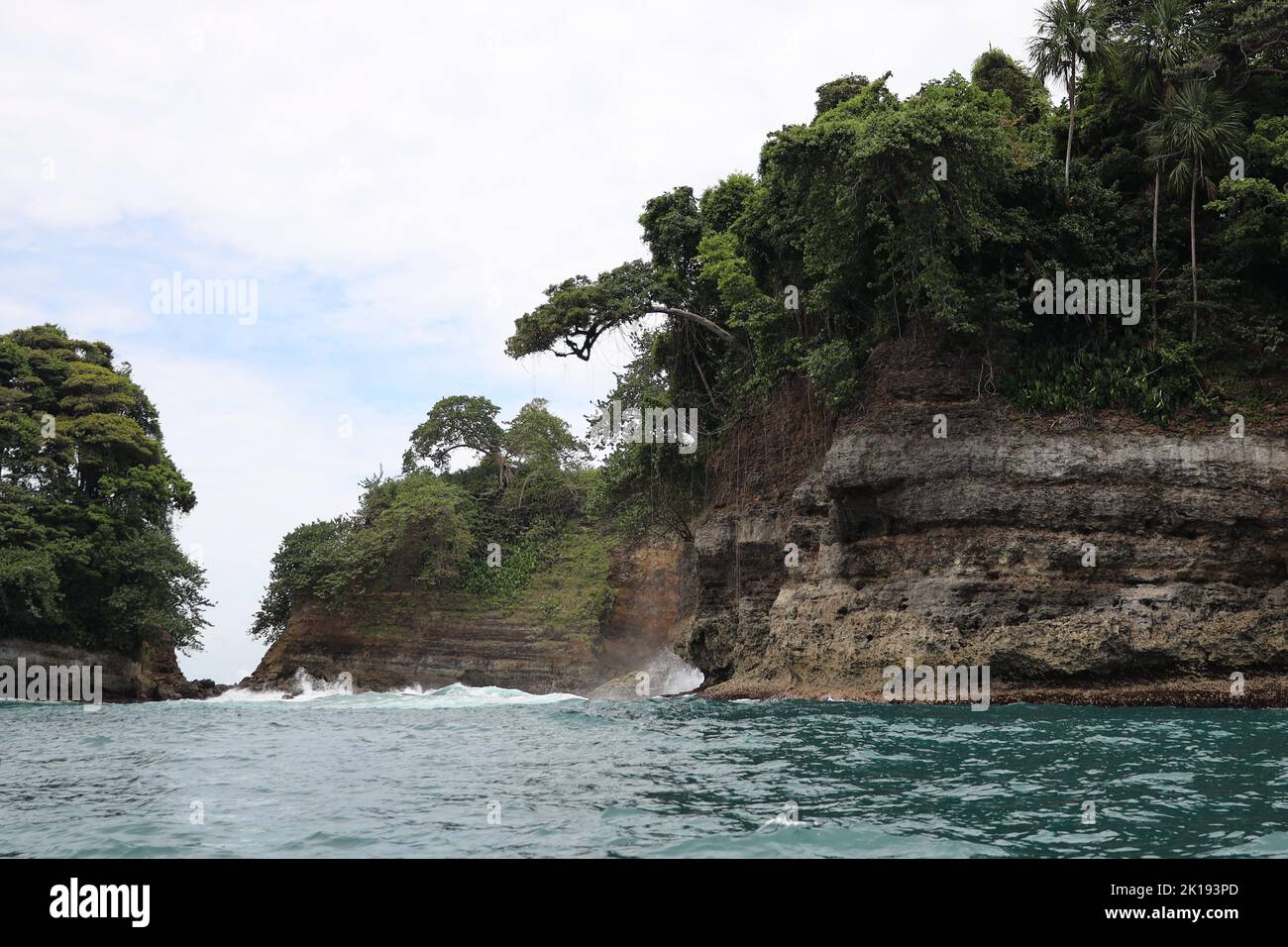a landscape of sea cliffs surrounded by forest Stock Photo - Alamy