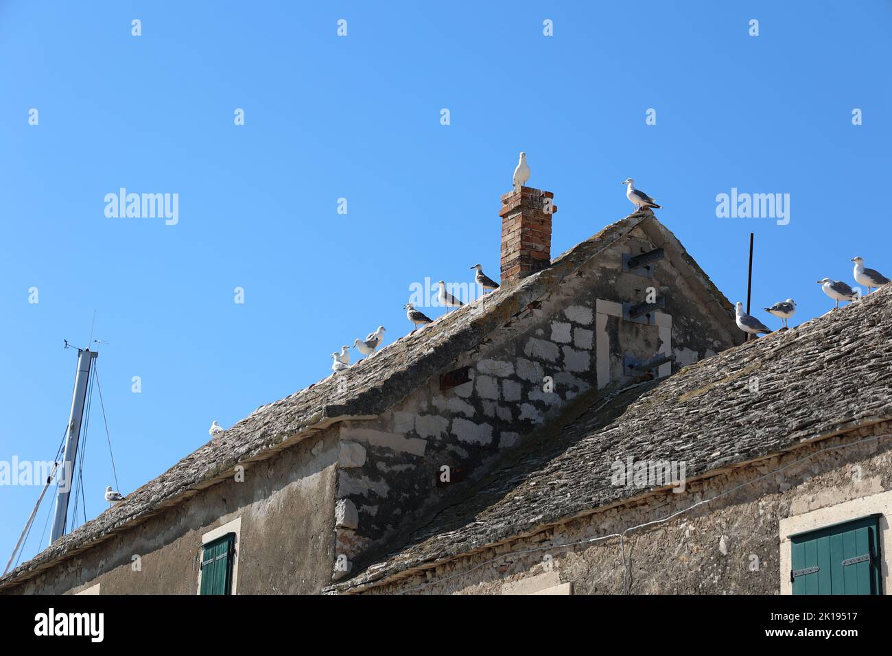 Sea gulls sit on the stone roof of the house Stock Photo - Alamy
