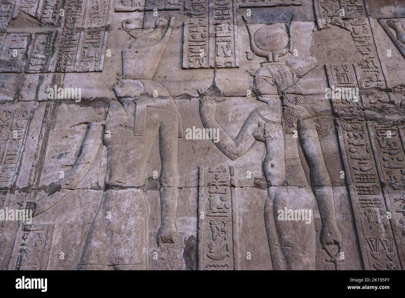 Picture of an Ancient Egyptian Drawings on the Walls of the Temple of ...