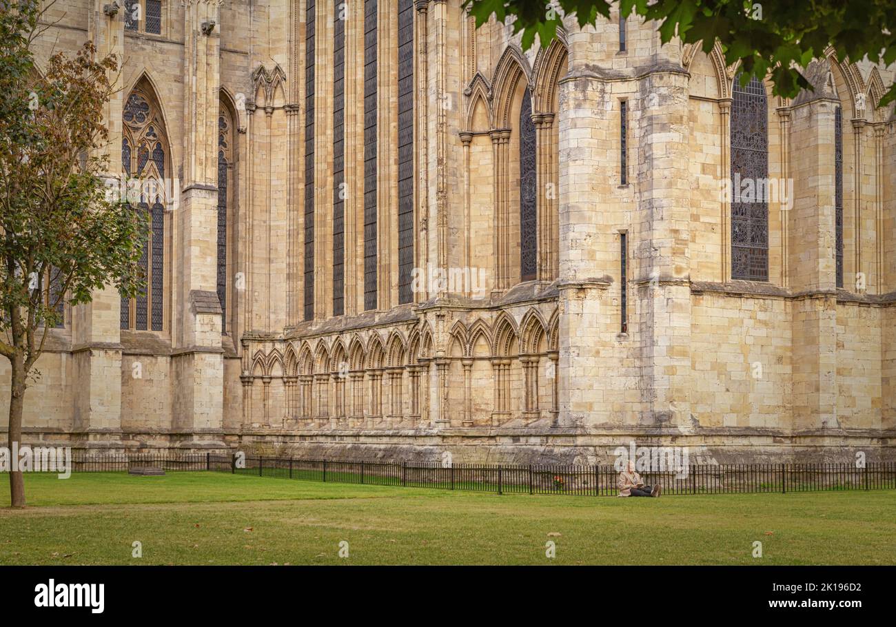 A section of the gothic architecture of York Minster. A small tree is ...