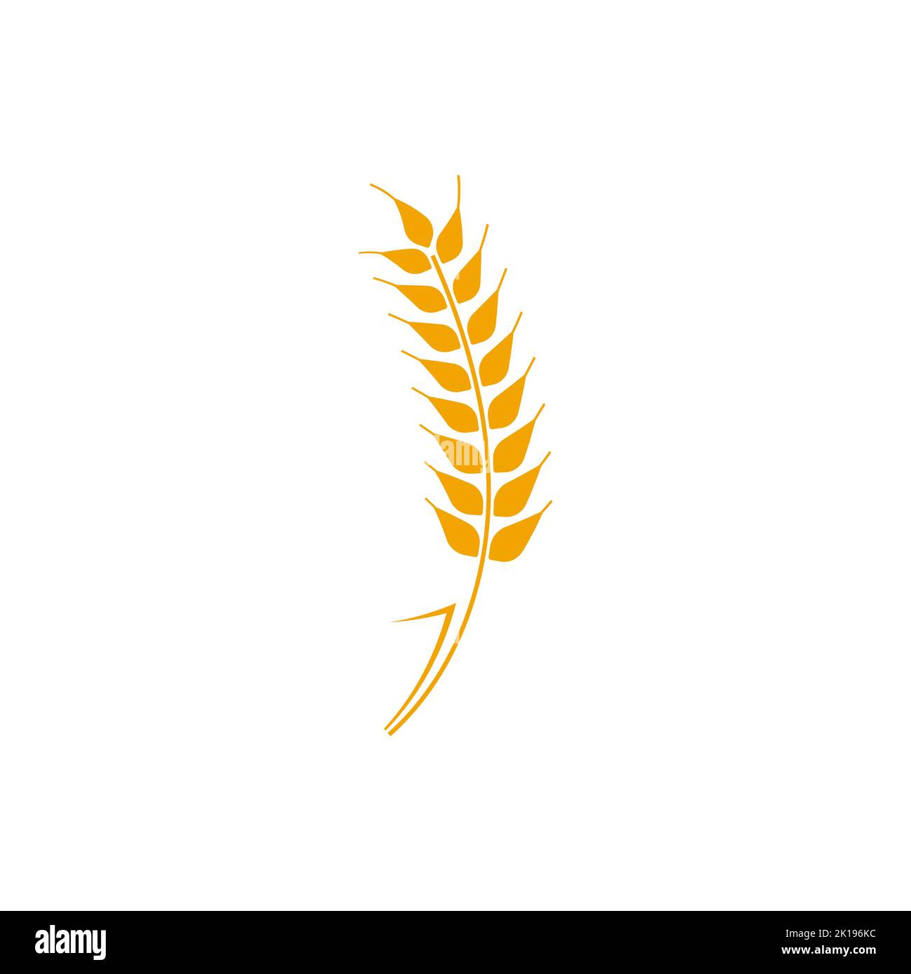 Wheat wreaths logo. Wheat ear icon. Vector agriculture ears symbol ...