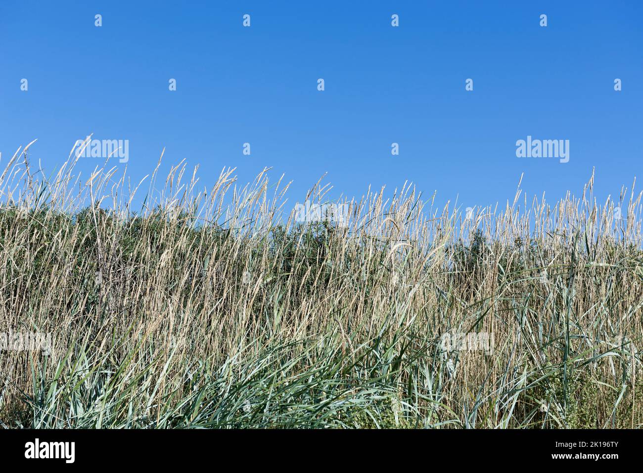 Sand Bay, North Somerset, England Stock Photo - Alamy