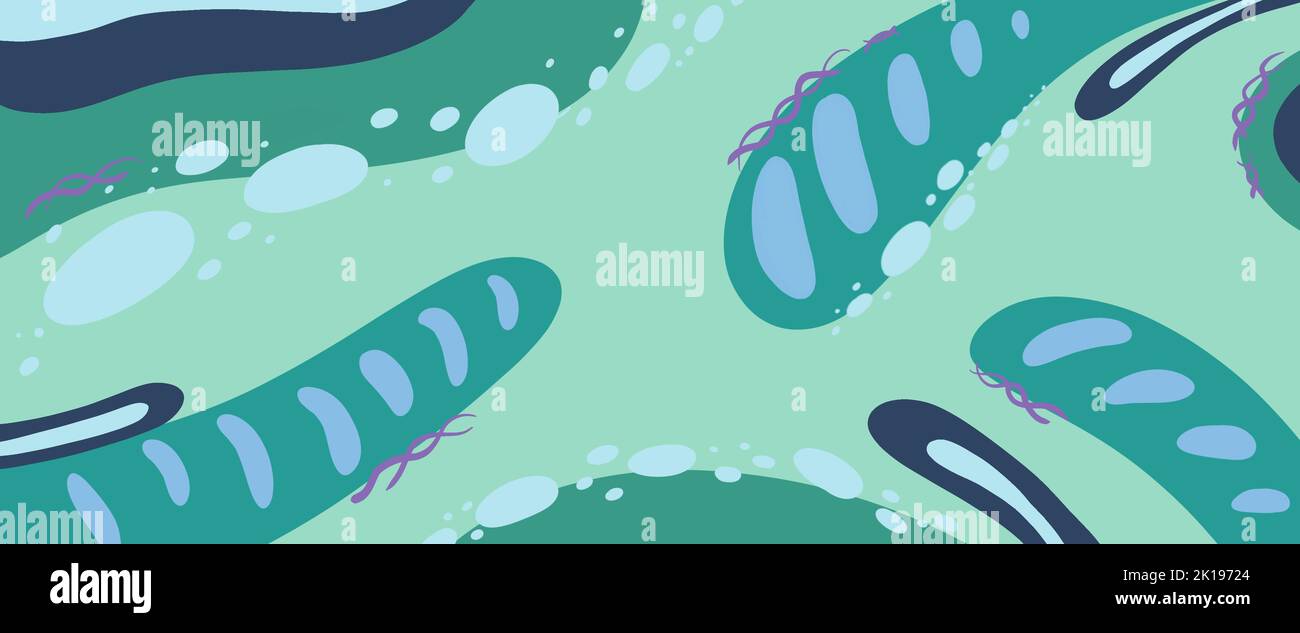 Creative doodle art header with different shapes and textures in green ...