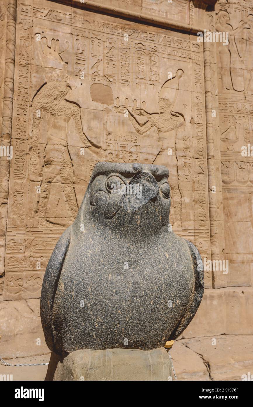 An Ancient Egyptian God Horus Statue as the View of Falcon Bird in the ...