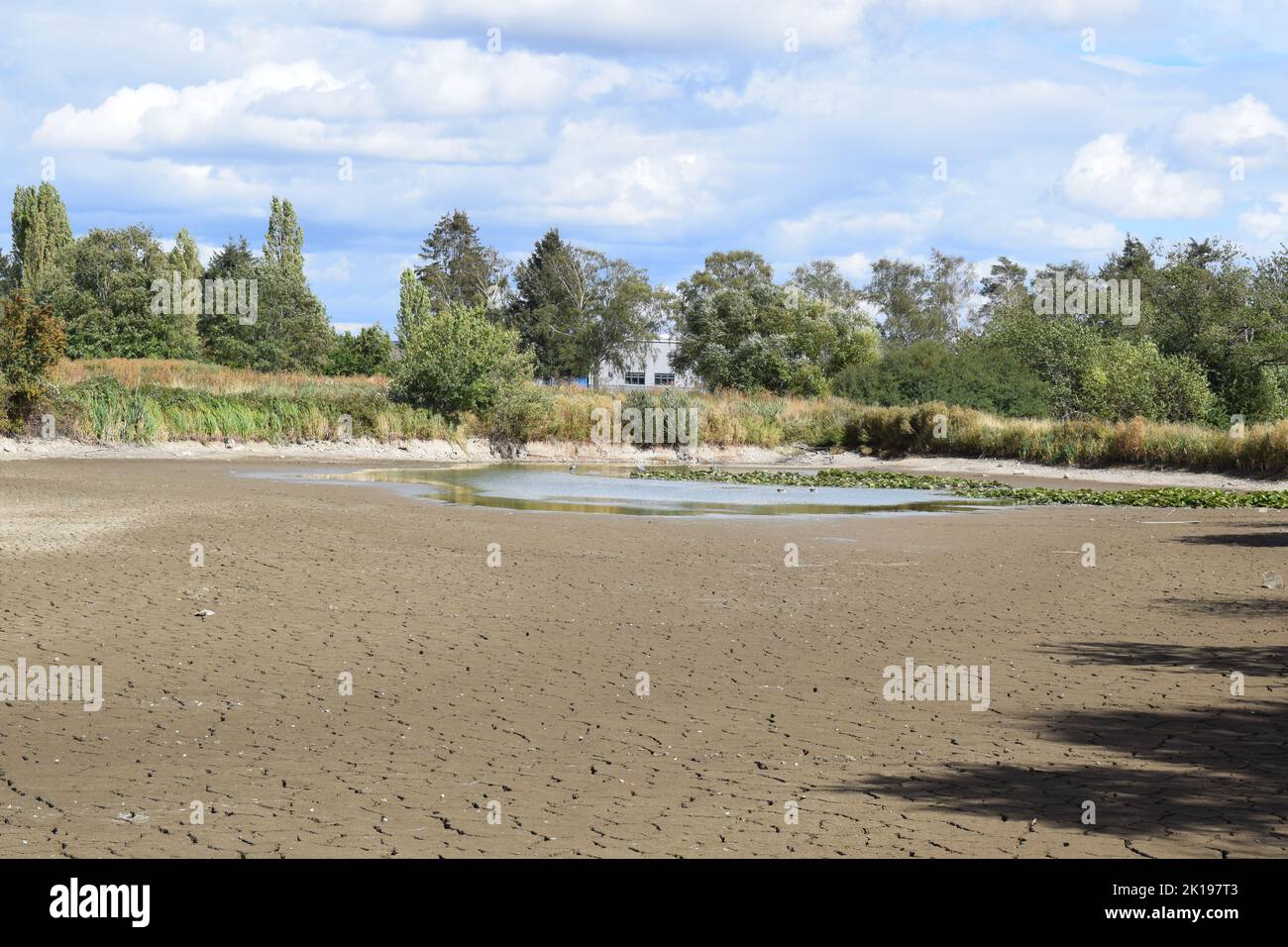 dry swamp lake with a little waterhole left Stock Photo - Alamy