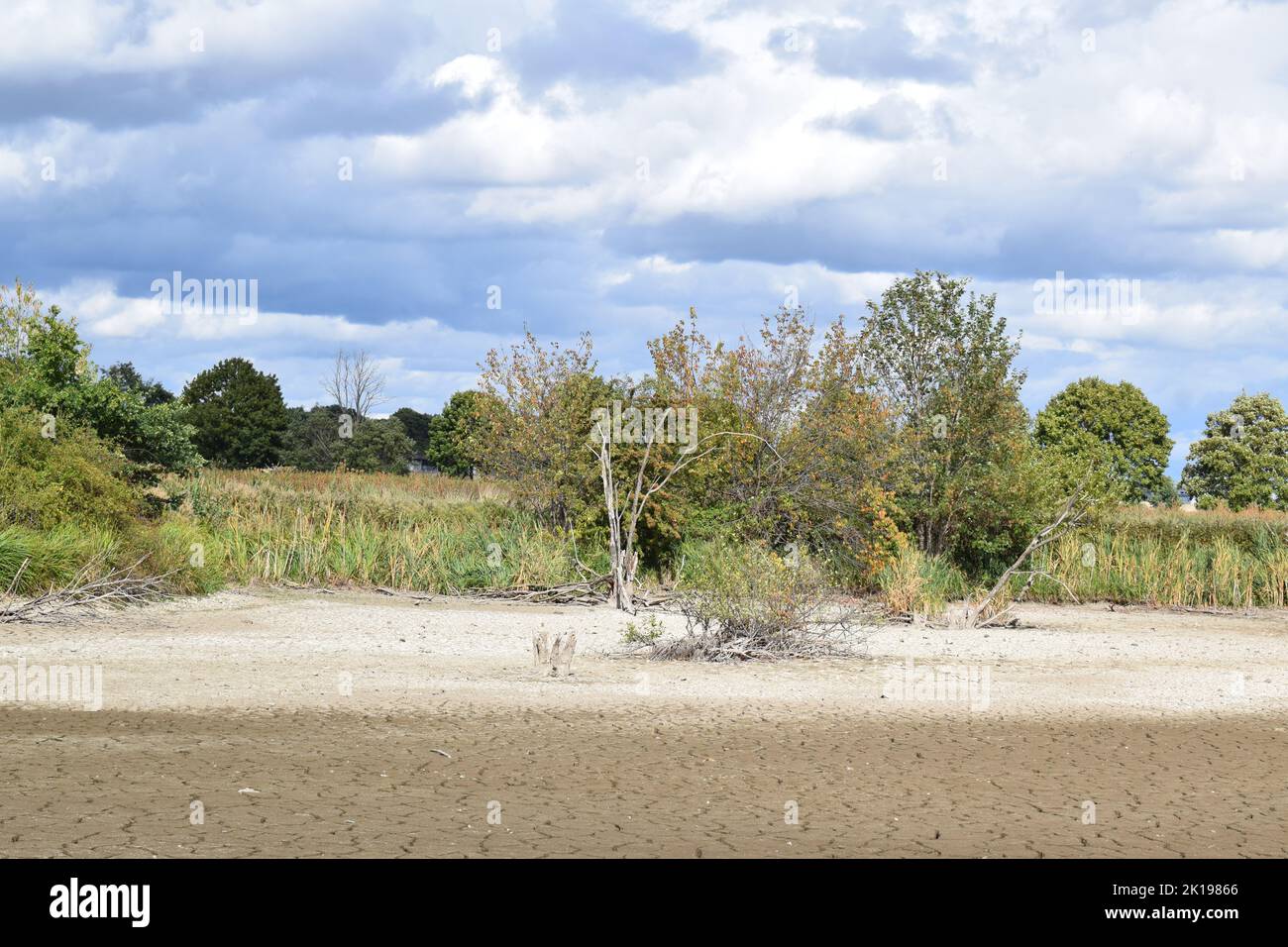 dry swamp lake with a little waterhole left Stock Photo - Alamy