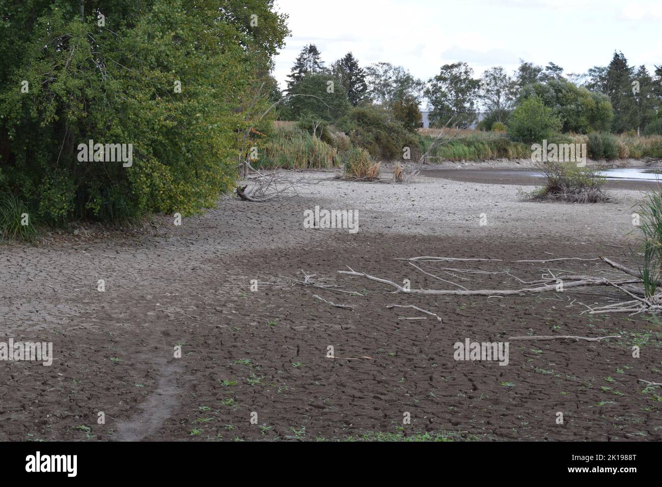 dry swamp lake with a little waterhole left Stock Photo - Alamy