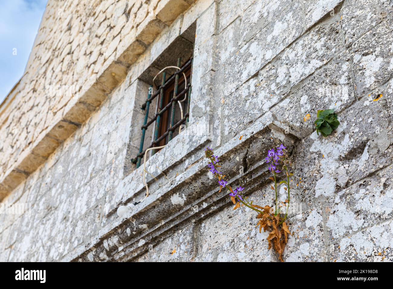 Courtyard of the Monastery of Pantokrator on the island of Corfu ...