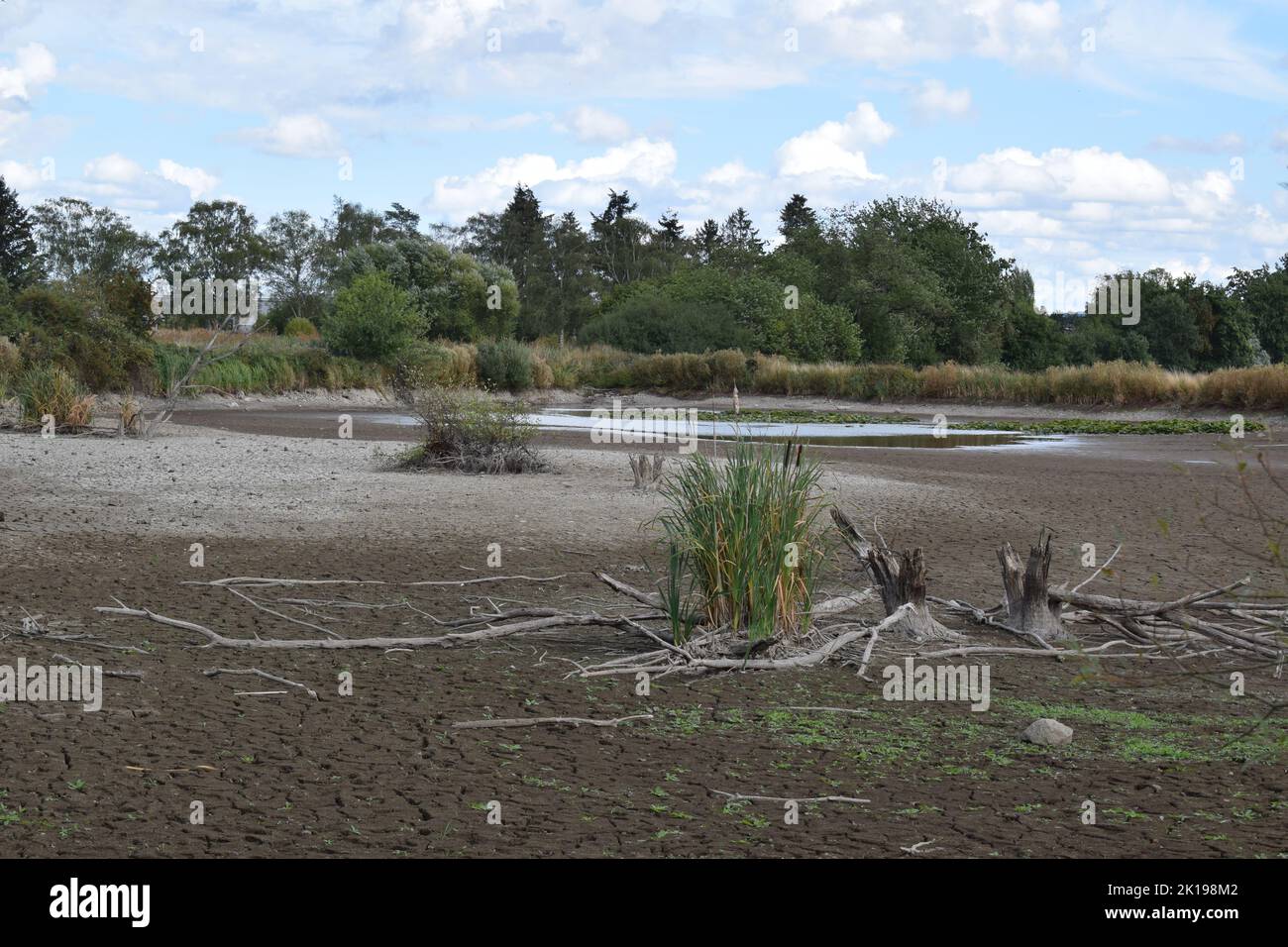 dry swamp lake with a little waterhole left Stock Photo - Alamy