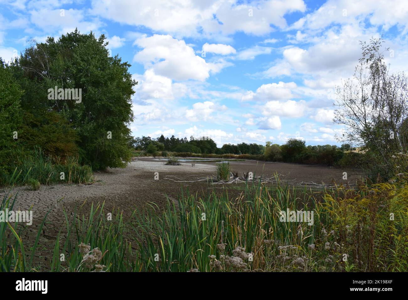 dry swamp lake with a little waterhole left Stock Photo - Alamy