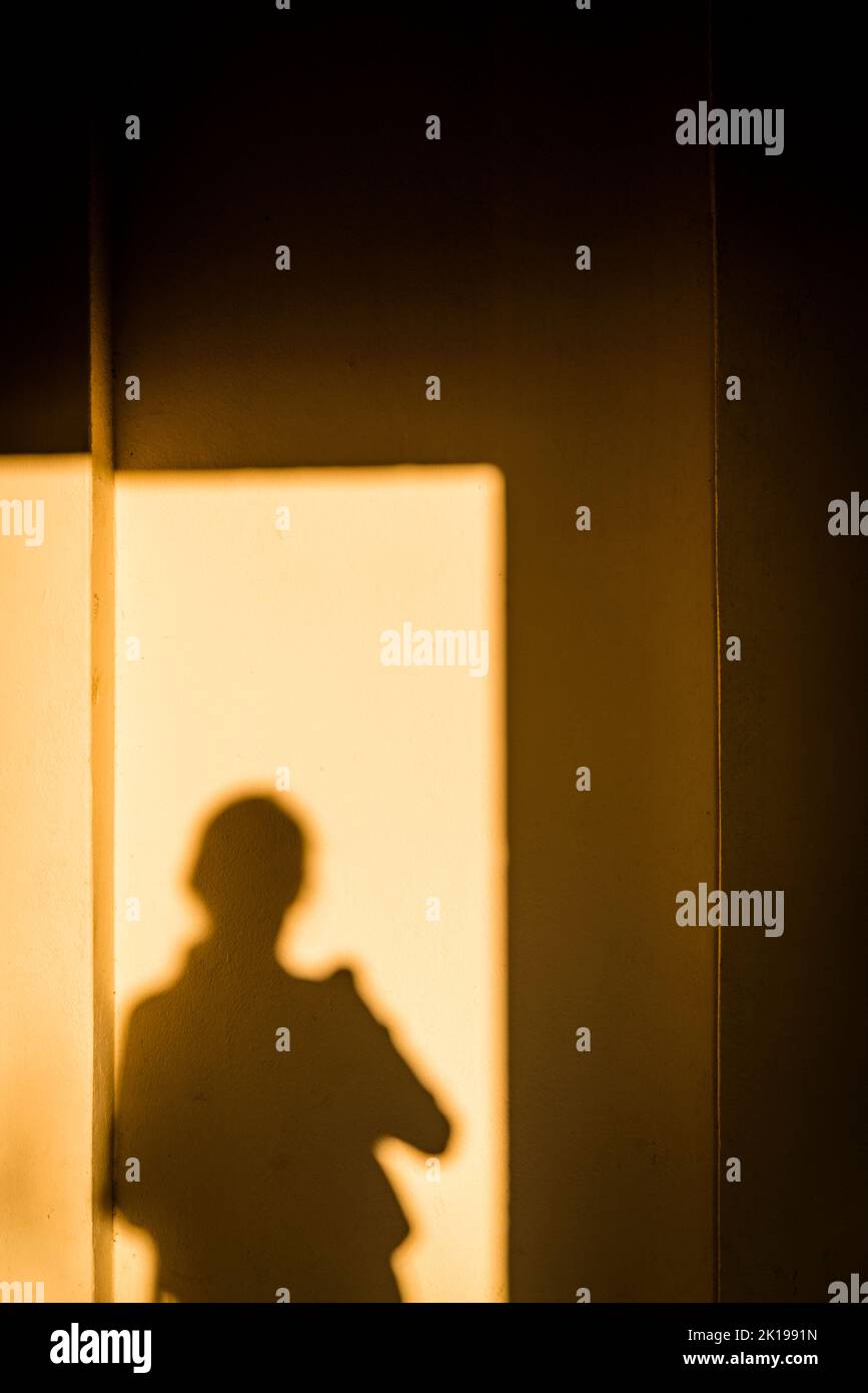 Shadowy female figure hi-res stock photography and images - Alamy
