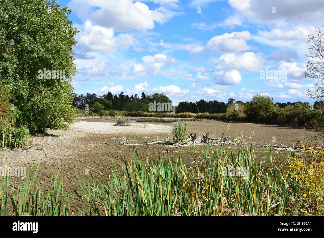 dry swamp lake with a little waterhole left Stock Photo - Alamy