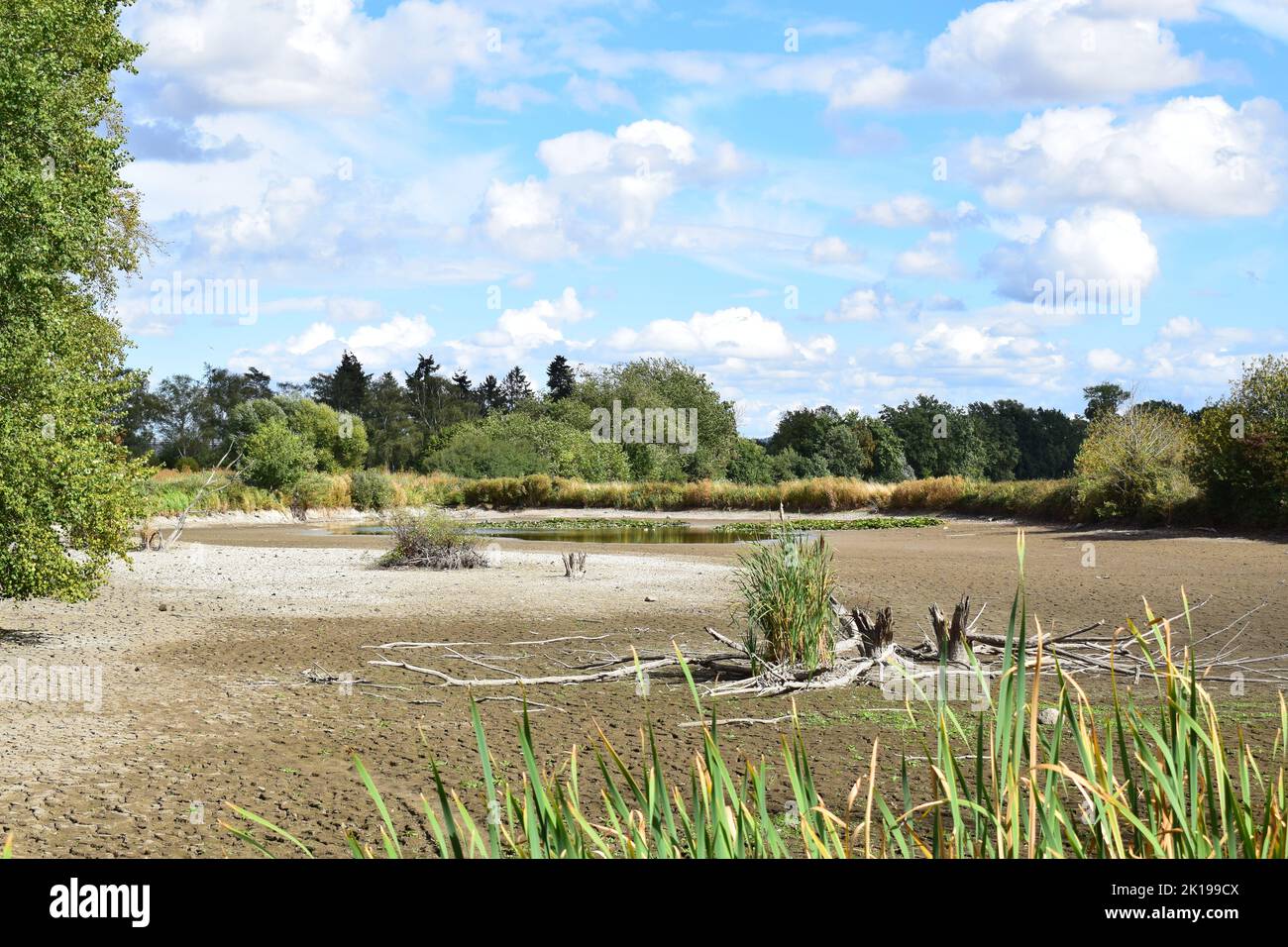dry swamp lake with a little waterhole left Stock Photo - Alamy