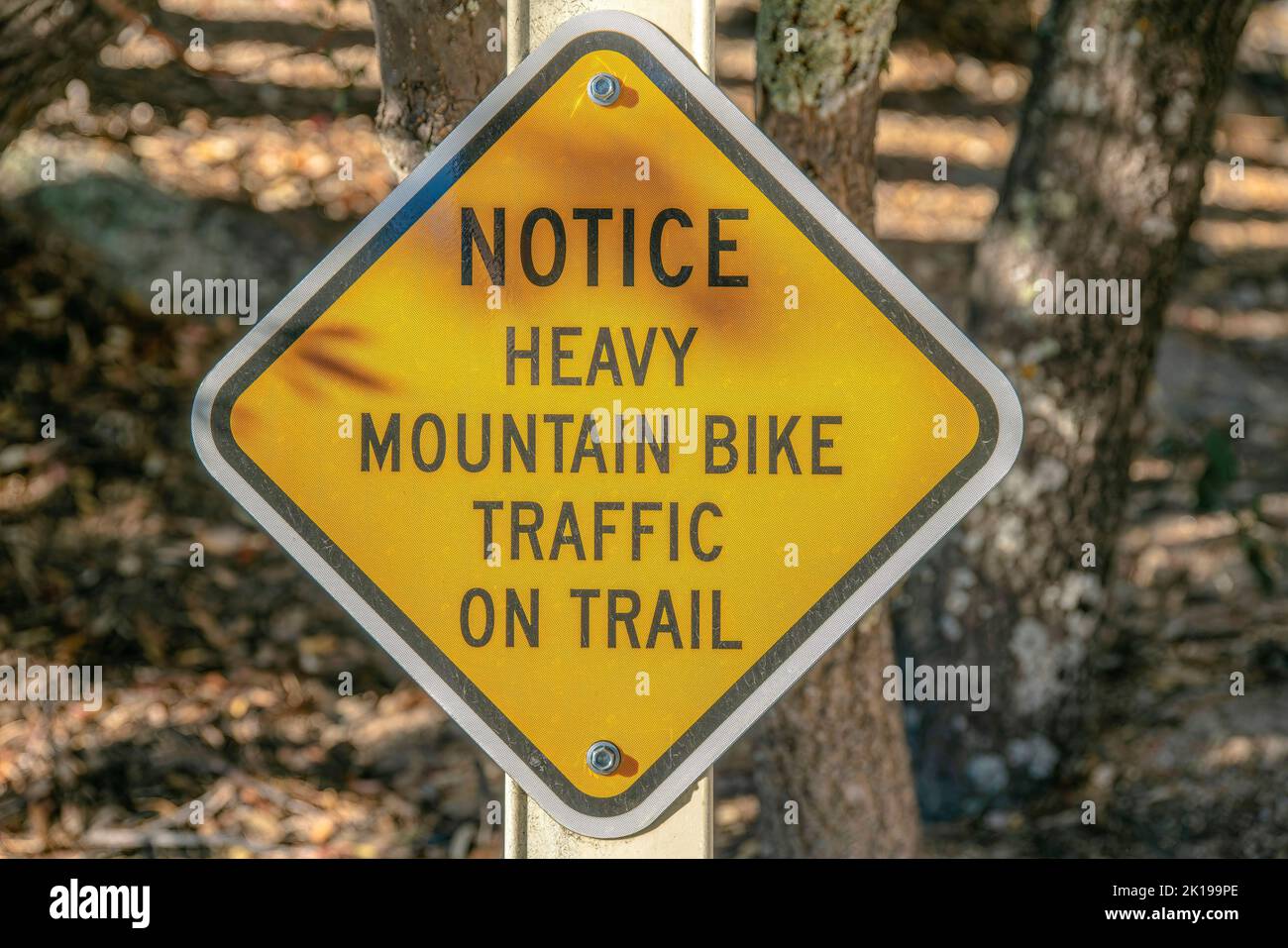 Mount Lemmon, Arizona- Diagonal yellow signage with Notice Heavy ...
