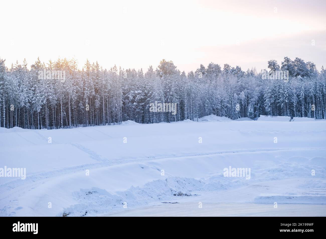 Landscape snowy winter forest. Panoramic view of frost-covered trees in ...