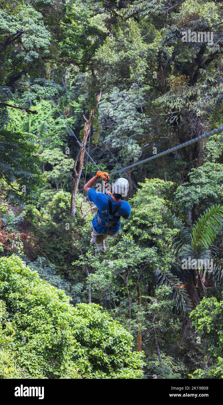 A vertical shot of a guy ziplining through a forest surrounded by green ...