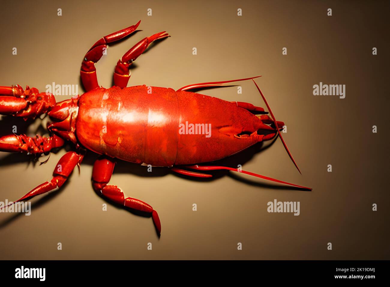 A top view of a red lobster on the dark background Stock Photo - Alamy