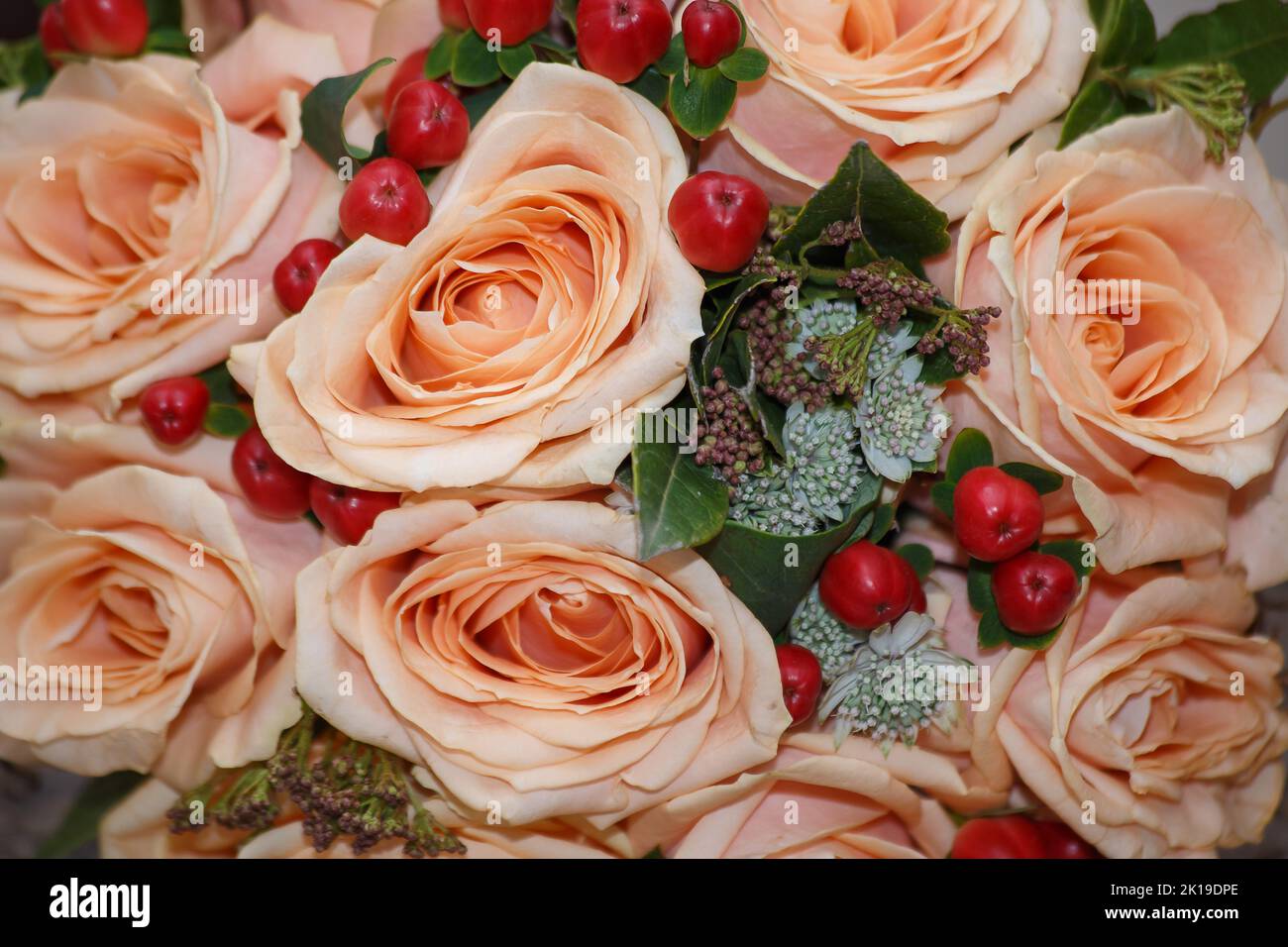 Soft Color Roses Background Stock Photo - Alamy