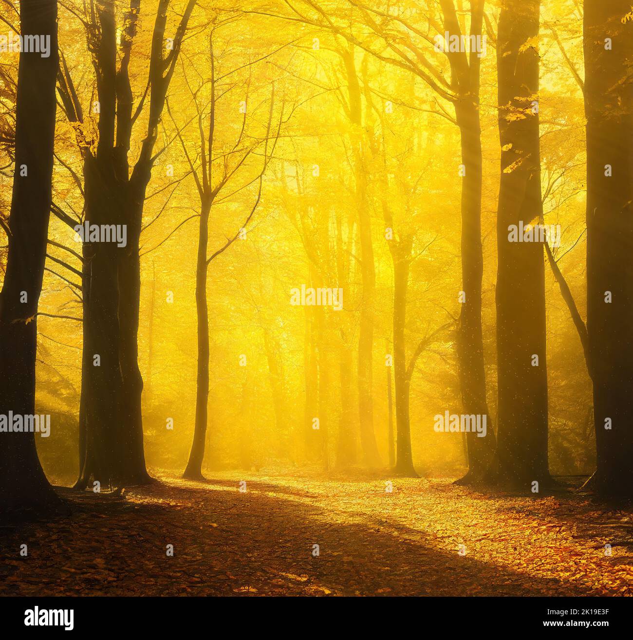 Enchanted woods digital hi-res stock photography and images - Alamy