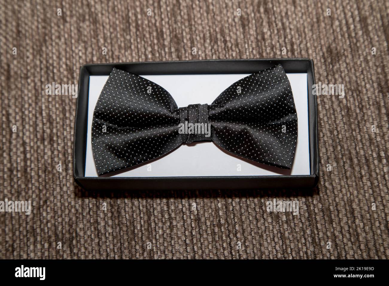 Black bow tie with white spots Stock Photo - Alamy