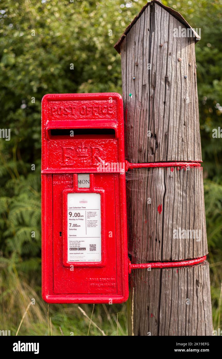 Ptimber hi-res stock photography and images - Alamy