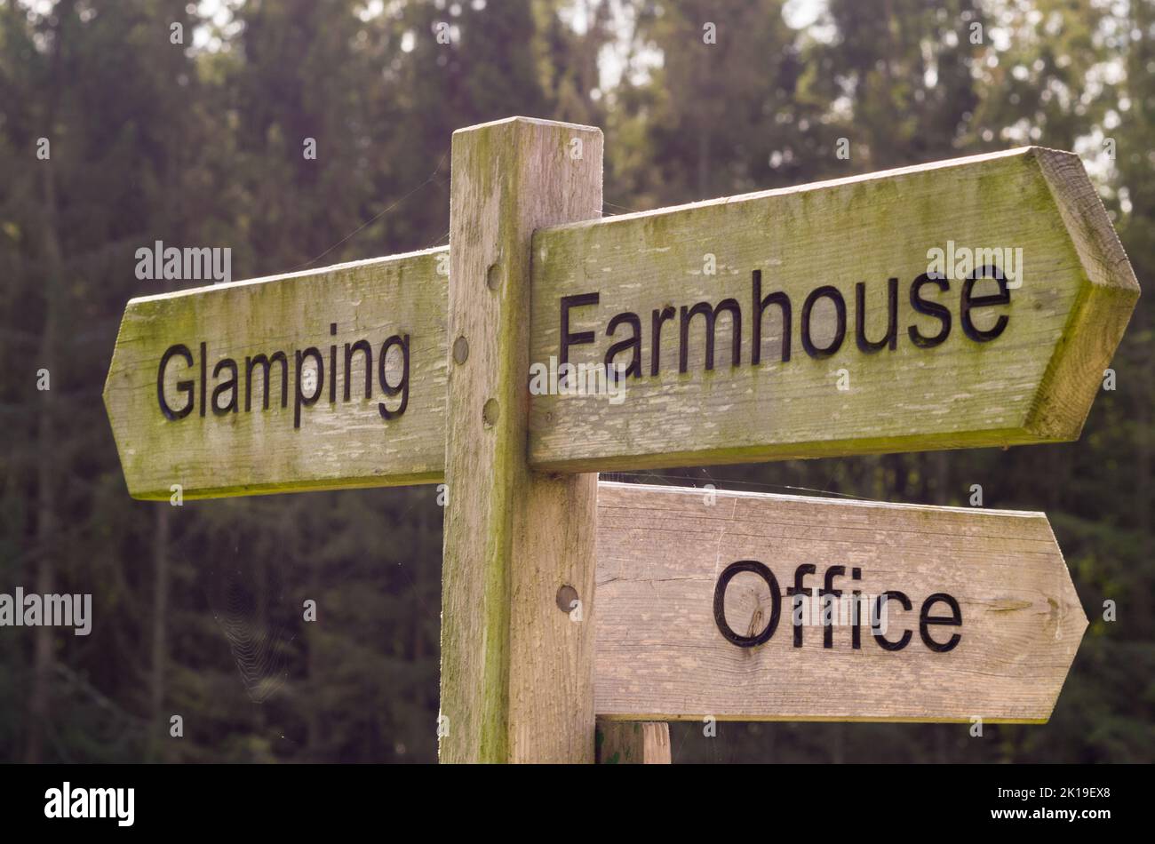 Various sign posts giving directions to holiday accommodation and ...