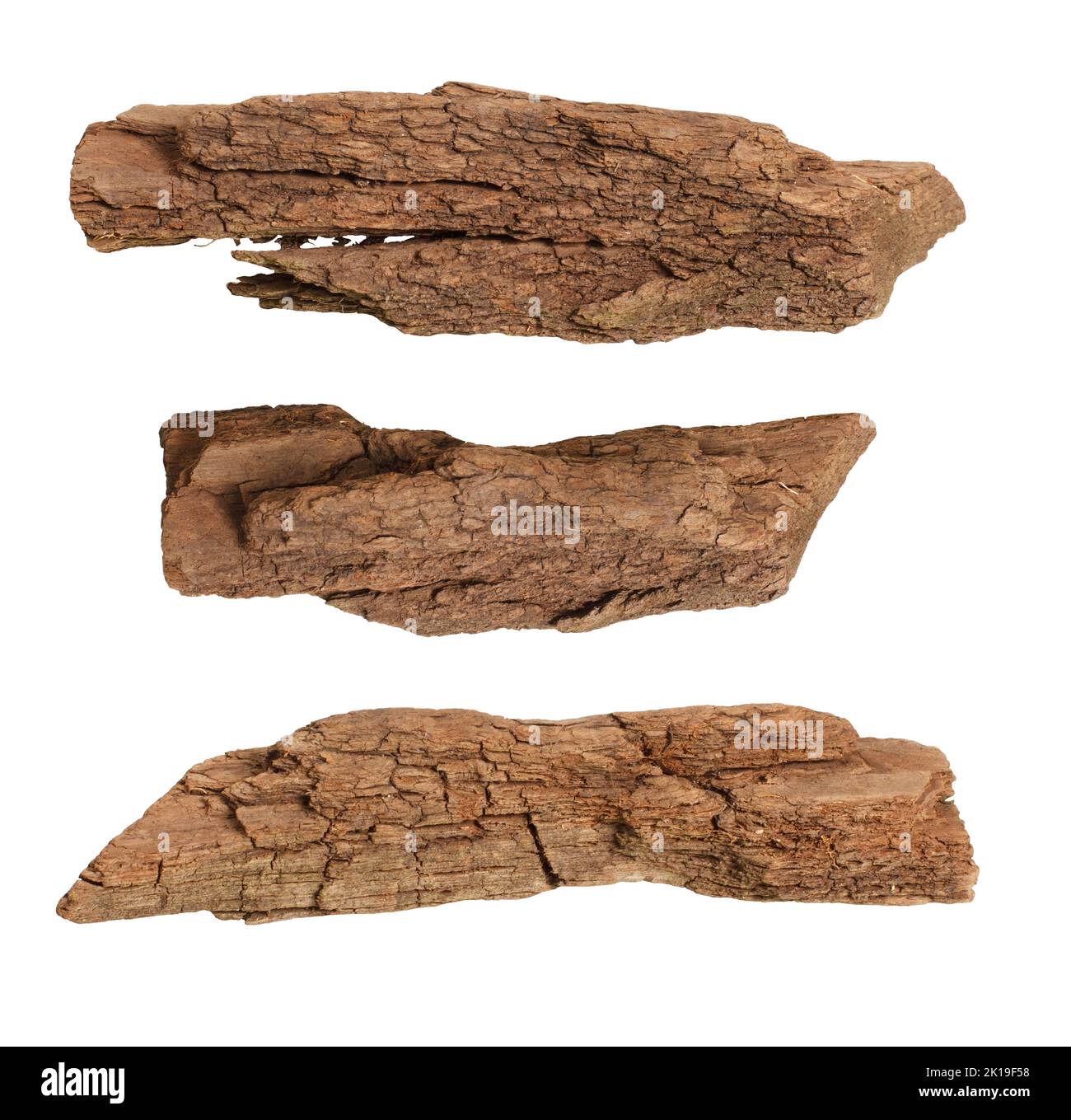 Macro dry branches isolated on white background, (high resolution Stock ...