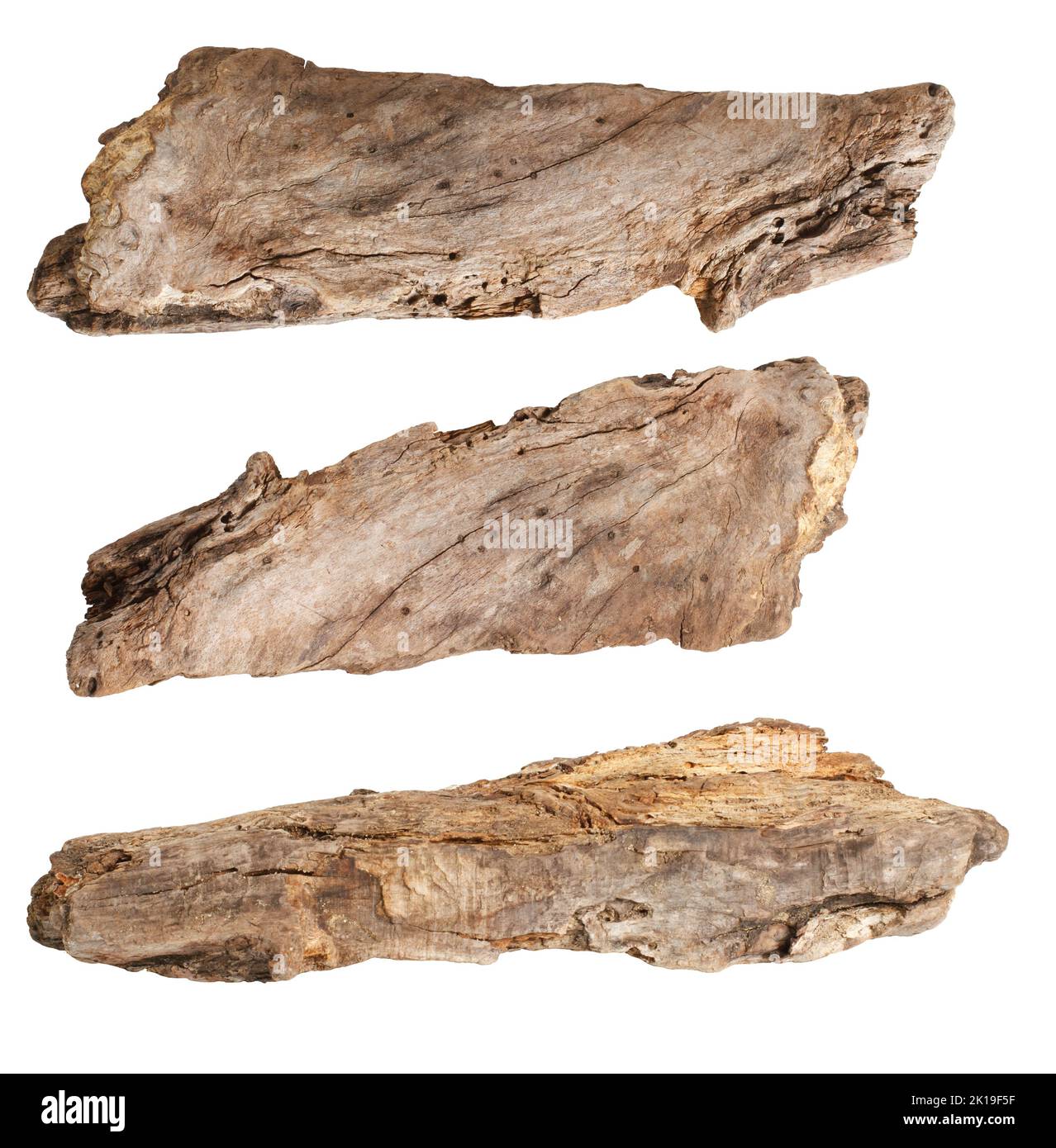 Macro dry branches isolated on white background, (high resolution Stock ...