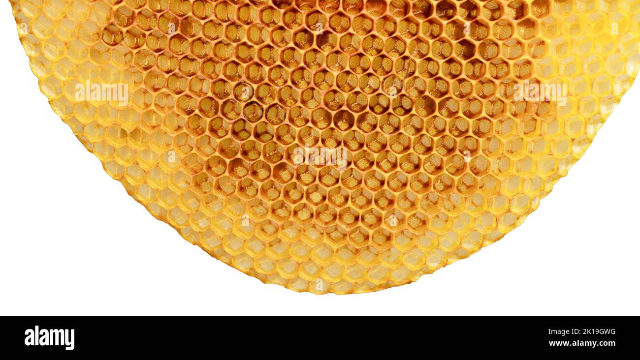 Yellow partially packed honey frame. Natural background or texture ...