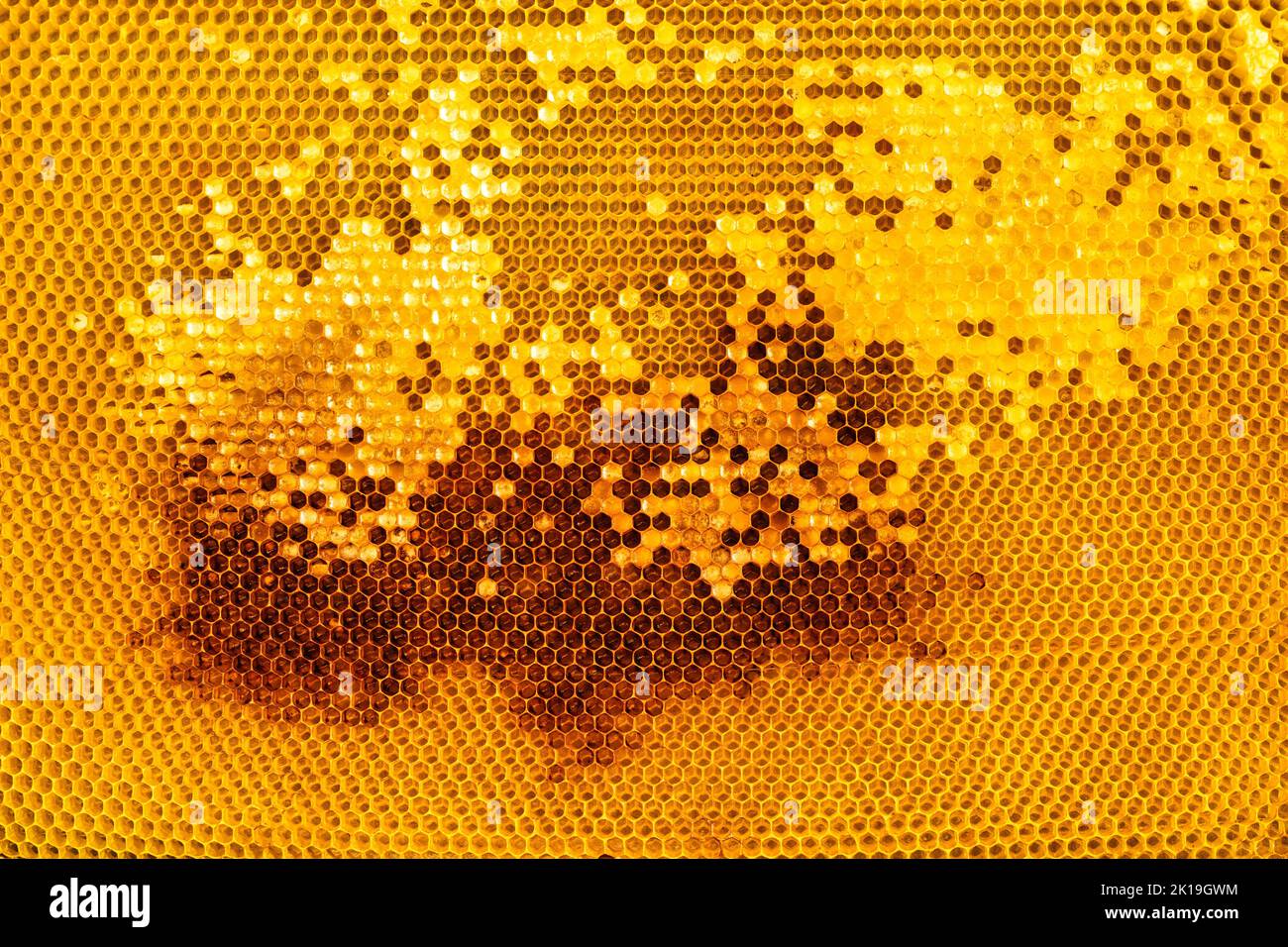 Yellow partially packed honey frame. Natural background or texture ...